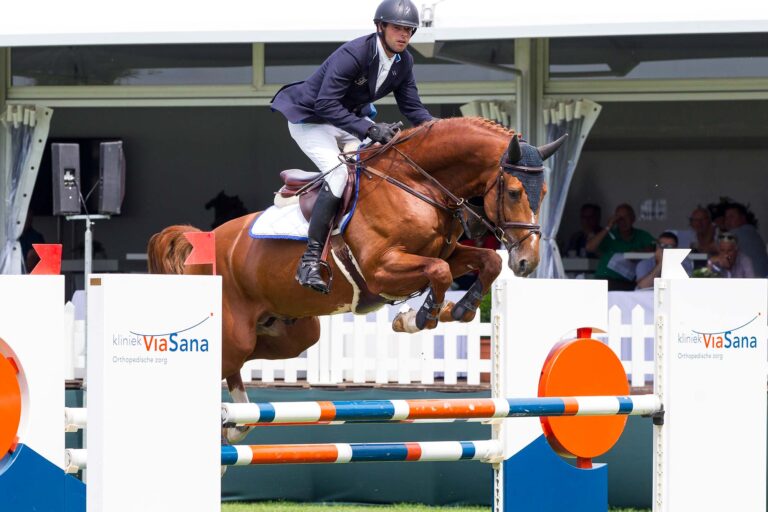 Entertainer – Hyperion Stud