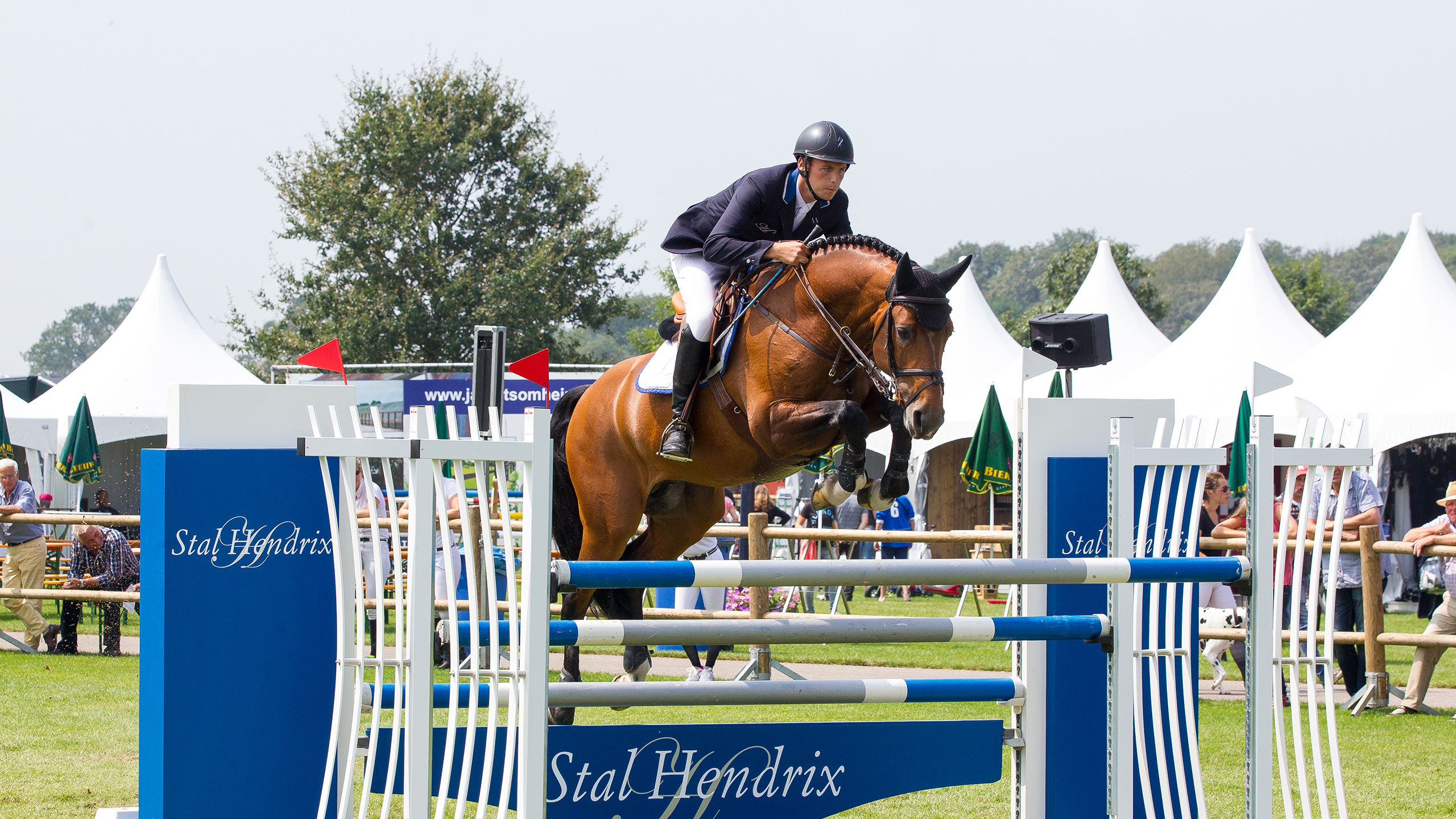 Bustique – Hyperion Stud