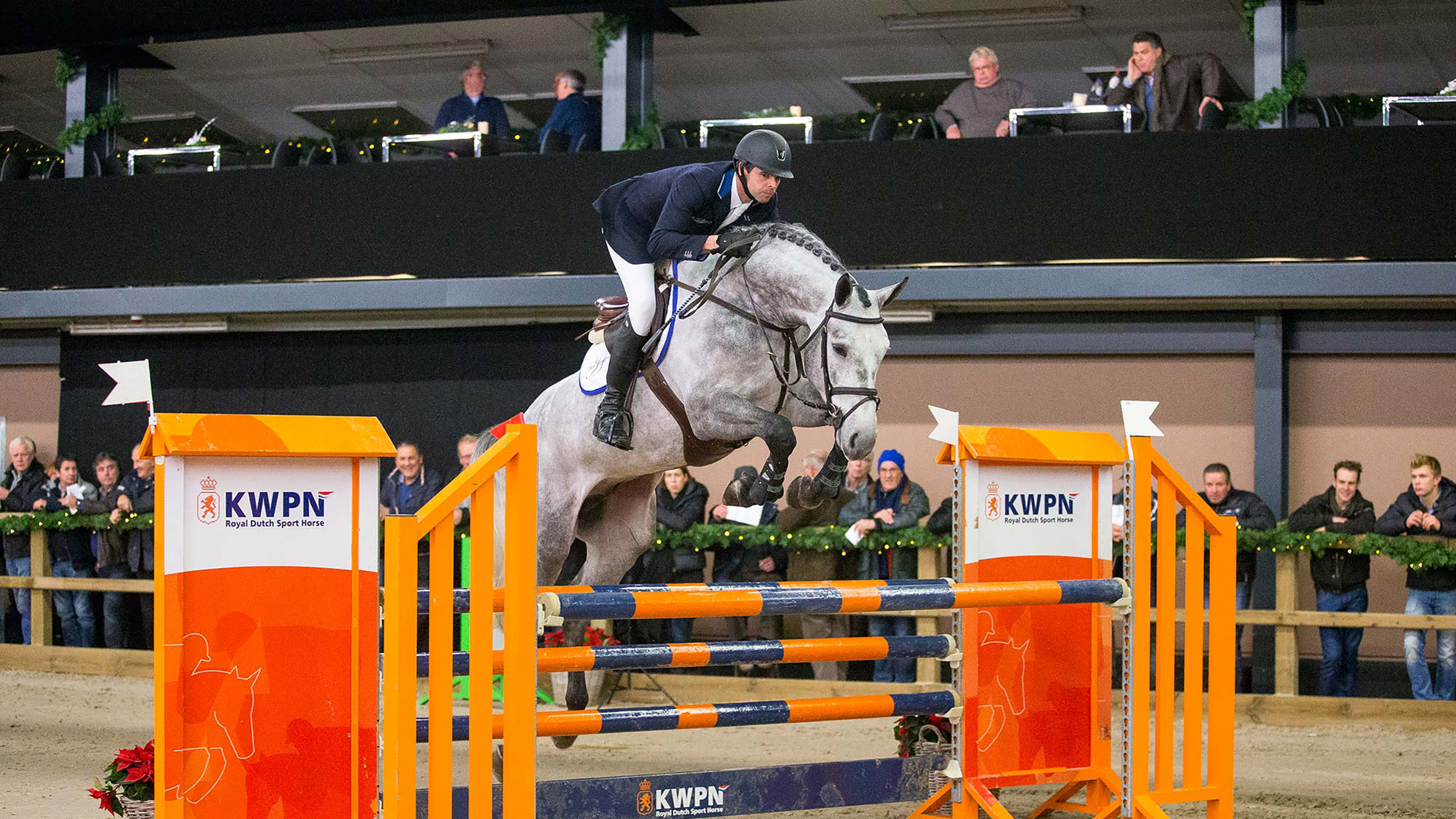 Cape Coral RBF Z – Hyperion Stud