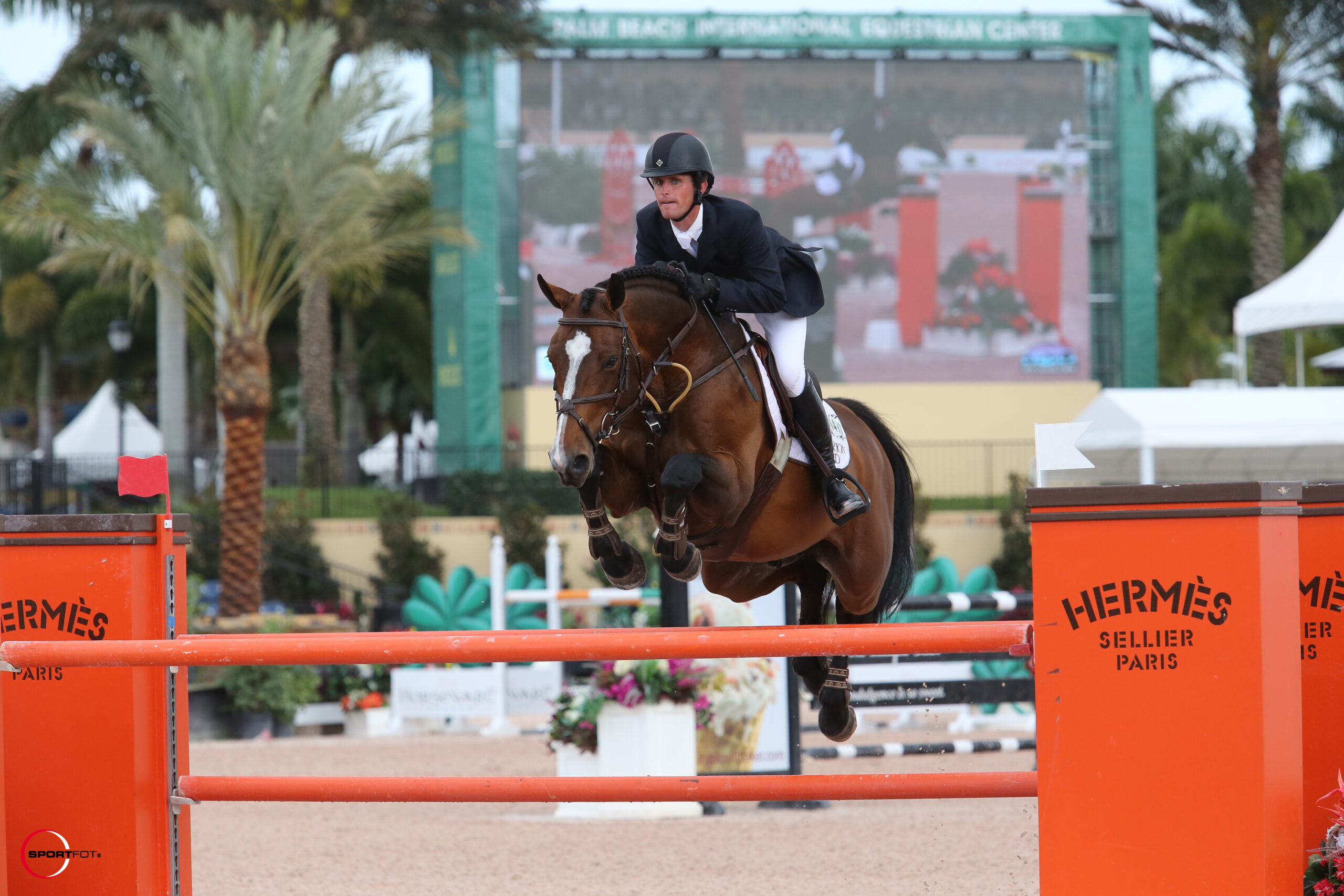 Chin Quidam VDL – Hyperion Stud
