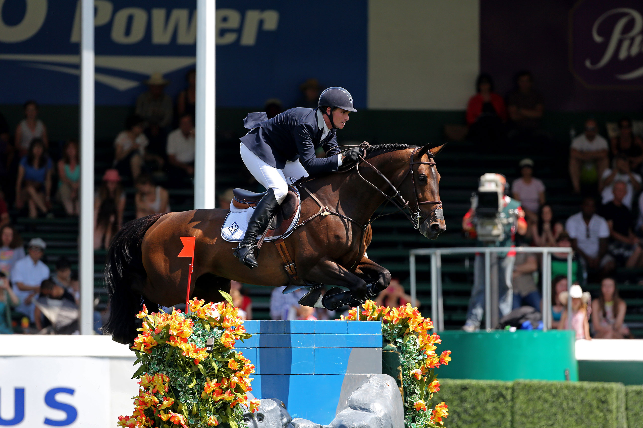 HH Copin Van De Broy – Hyperion Stud