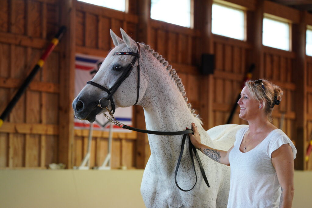 Team - Hyperion Stud