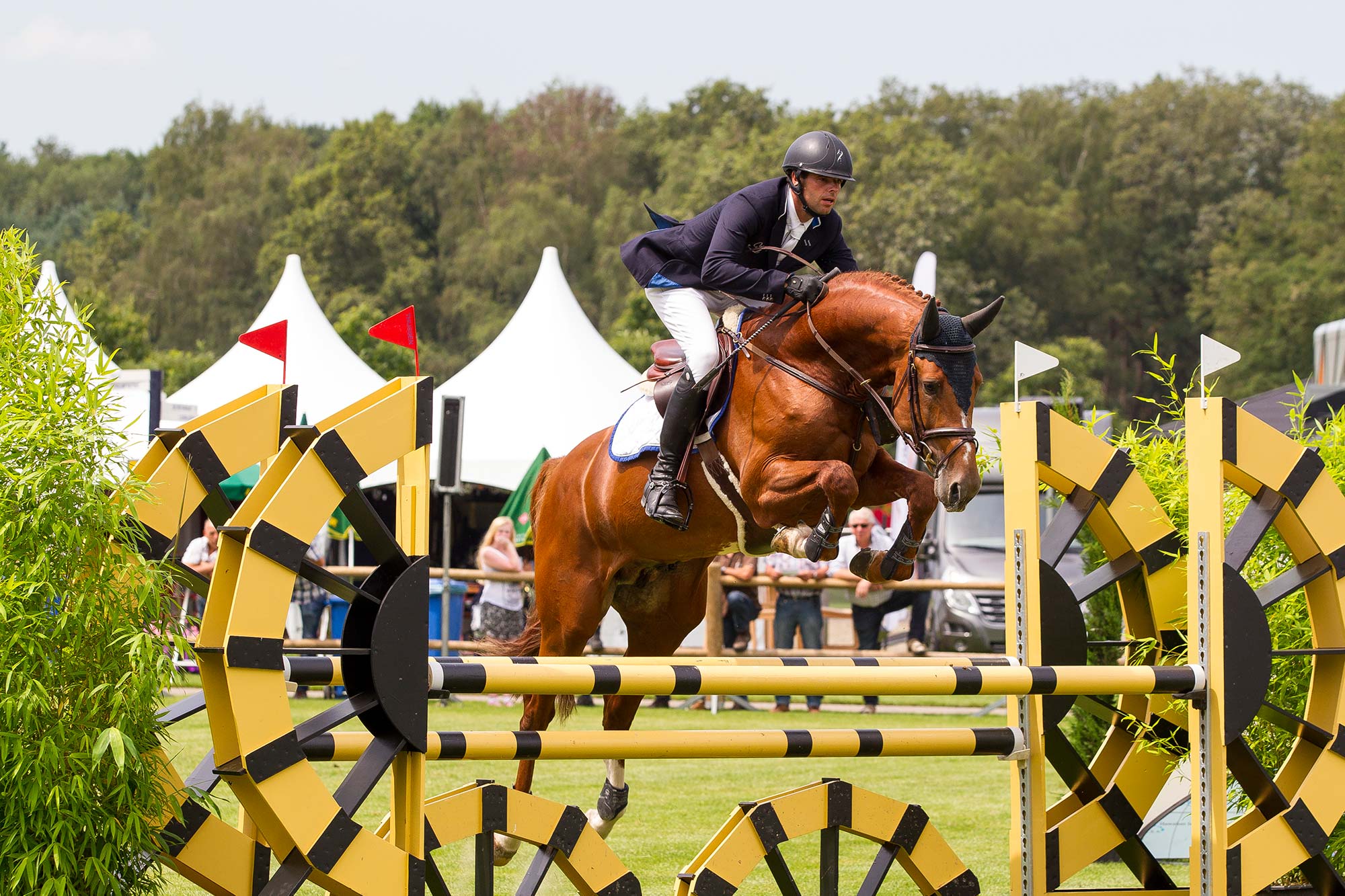 Entertainer – Hyperion Stud