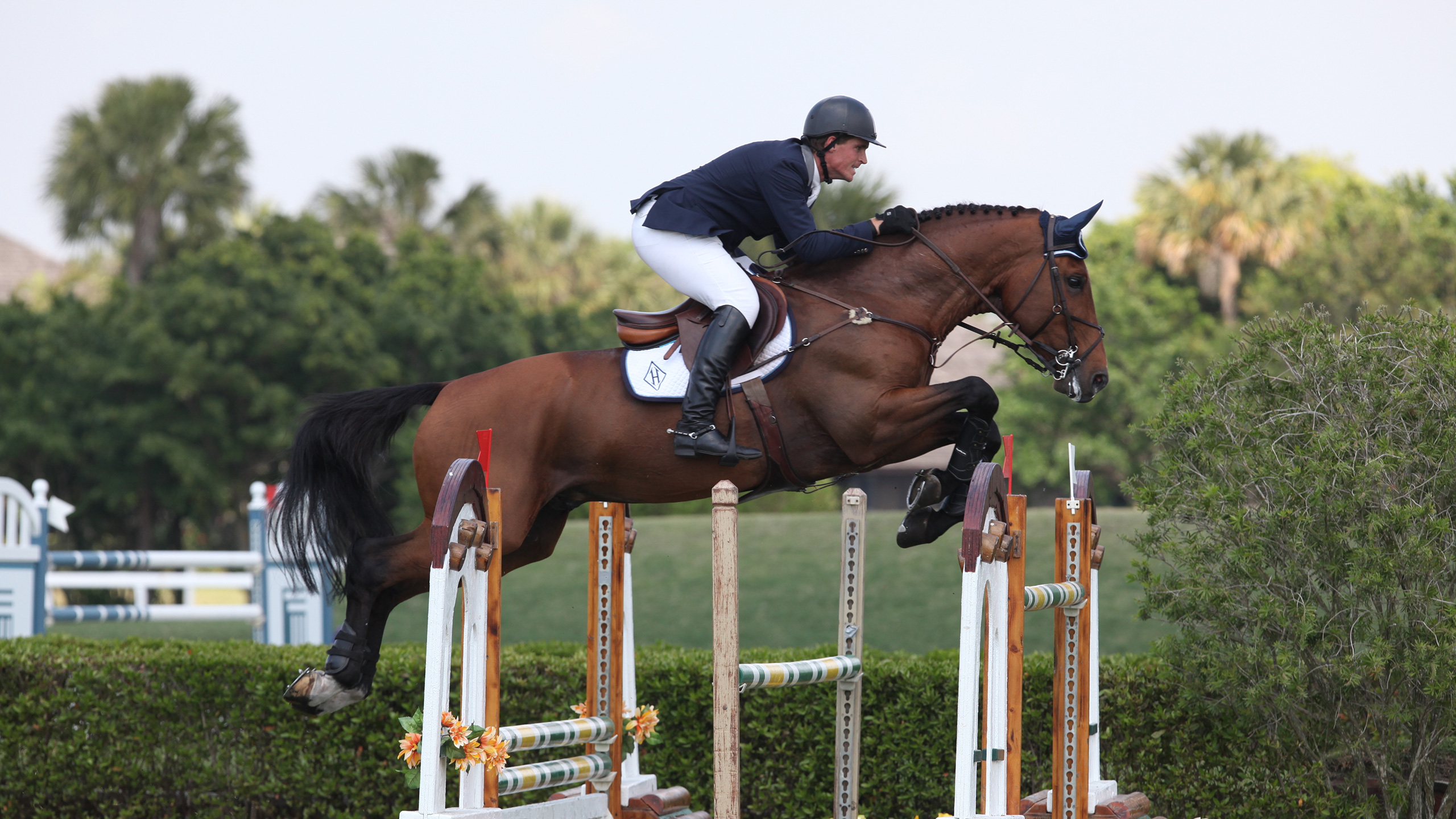 HH Radco – Hyperion Stud