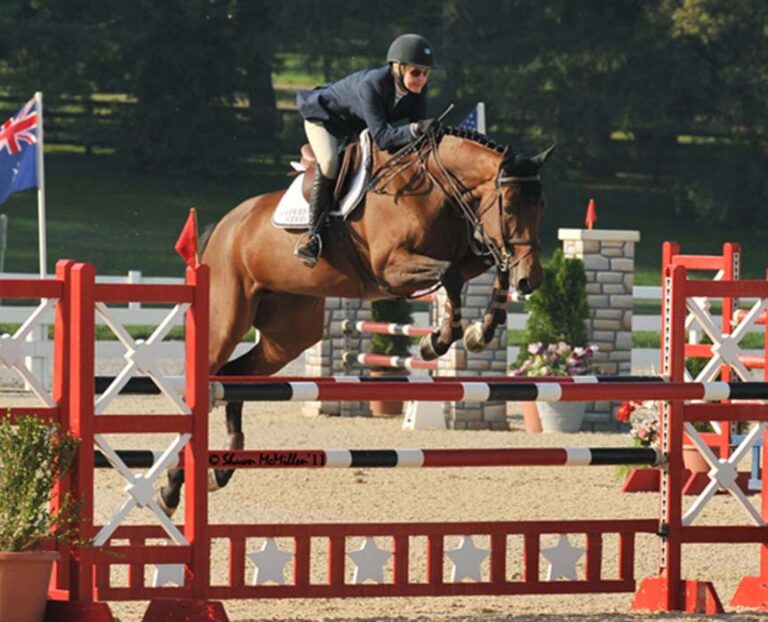 Our Broodmares - Hyperion Stud