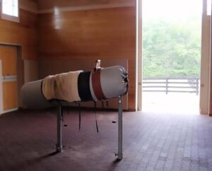 Stallion Station - Hyperion Stud