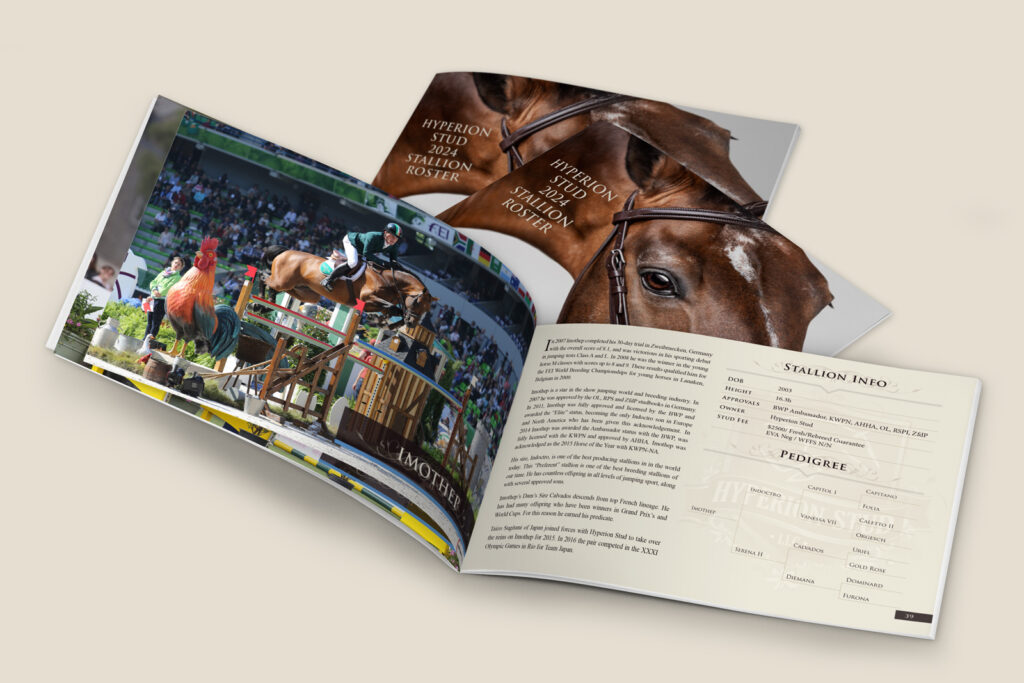 Stallions - Hyperion Stud