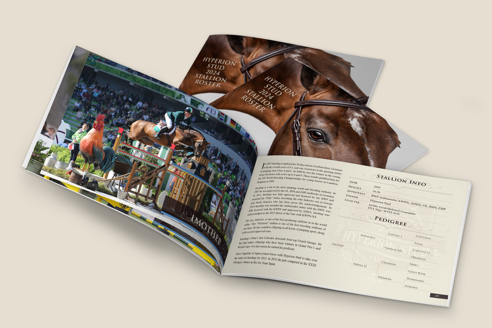 Stallions - Hyperion Stud