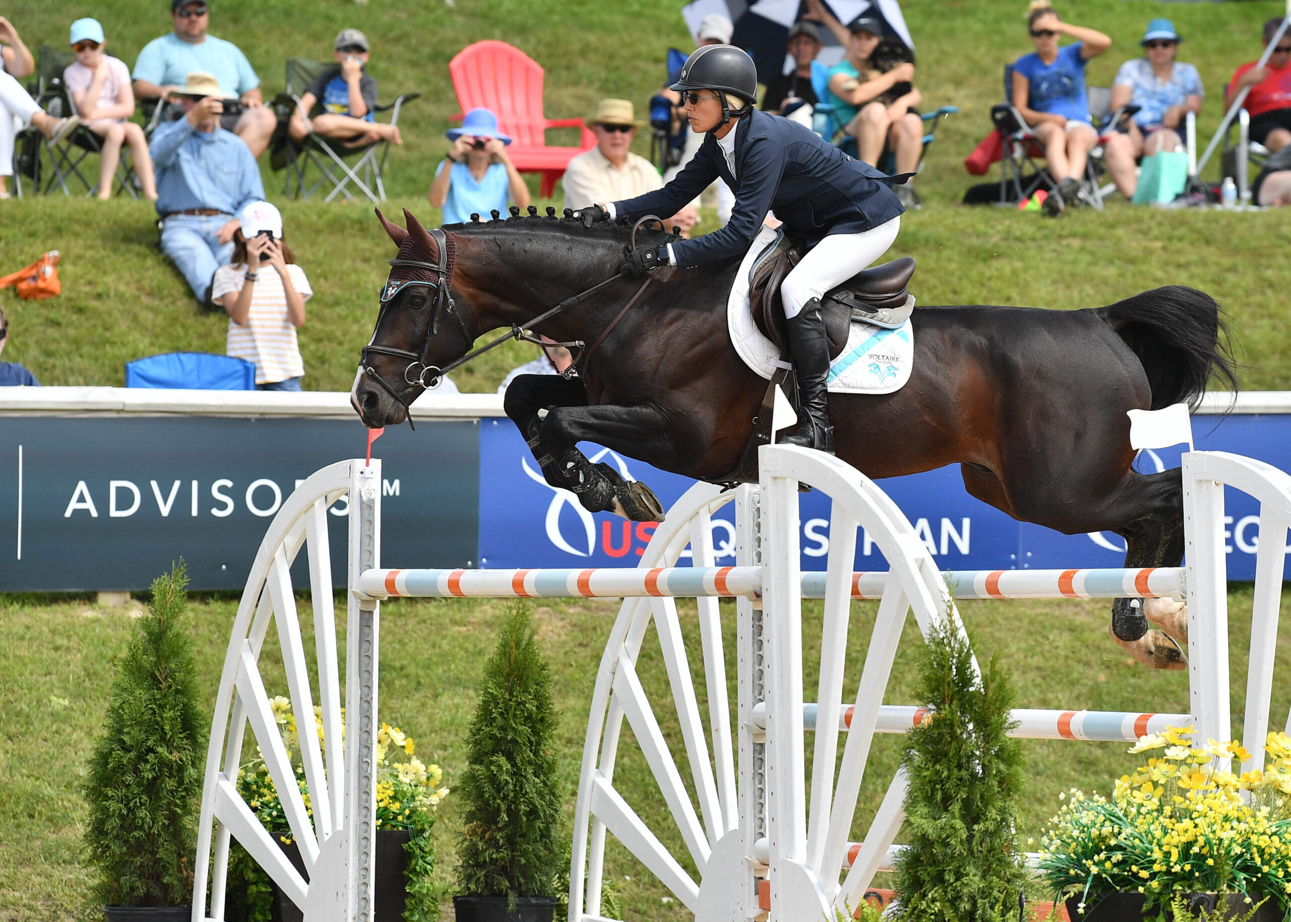 Iceman De Muze – Hyperion Stud